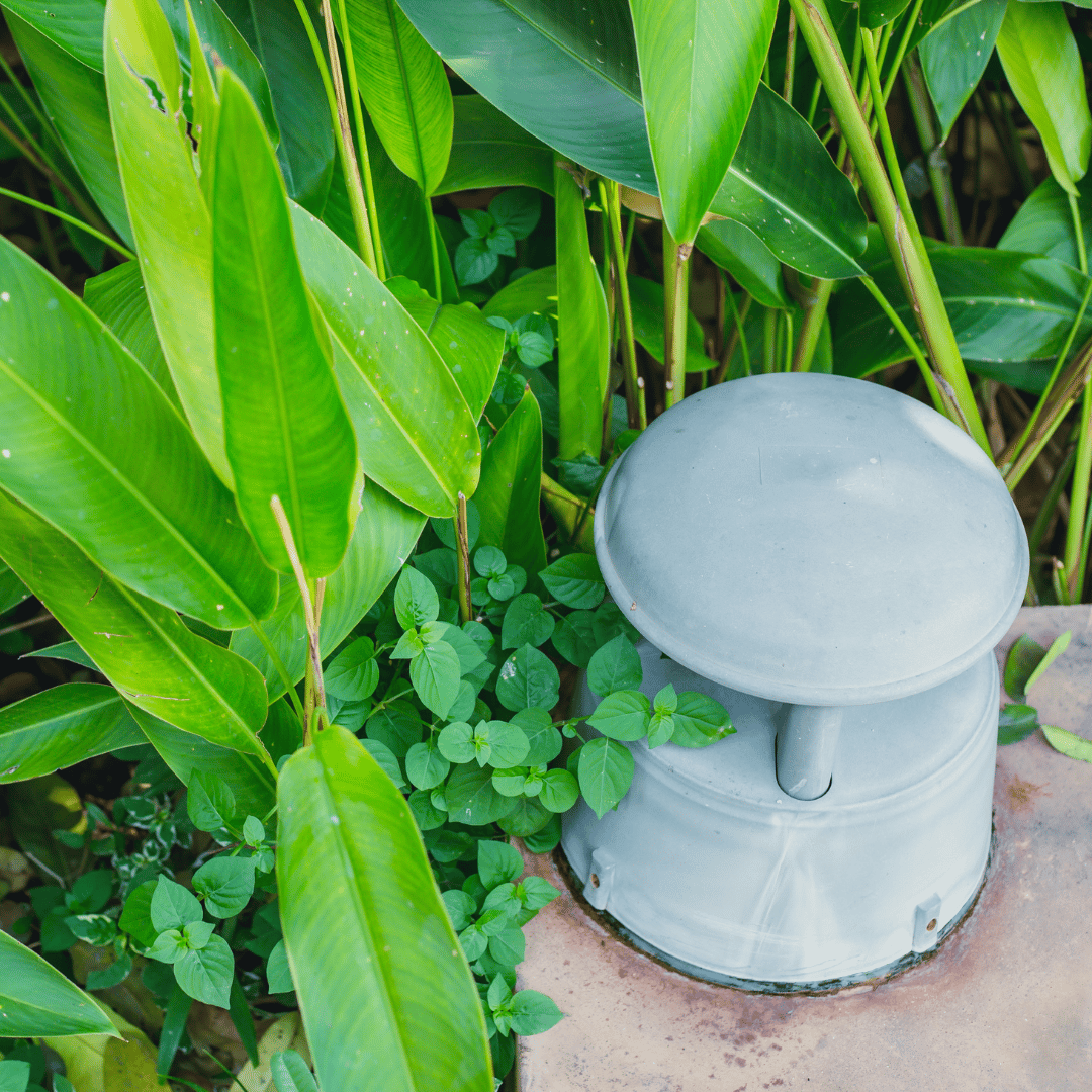 The Benefits of Landscape Audio - AIS